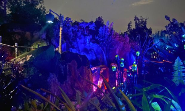 Is Pandora – The World of Avatar at Disney’s Animal Kingdom Overrated?