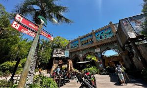 5 Things I Love About Asia in Disney’s Animal Kingdom | The DIS