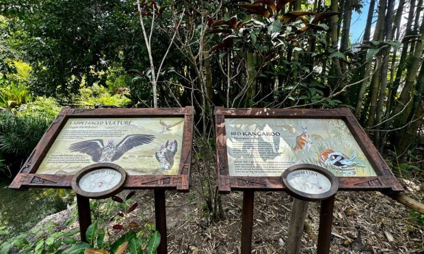 Animals Seen on Discovery Island at Disney’s Animal Kingdom | The DIS