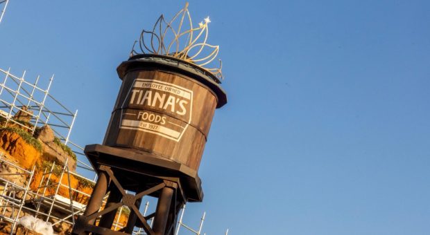 Tiana’s Tiara-Topped Water Tower Arrives in Magic Kingdom