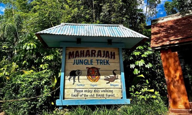3 Reasons Why I Love the Maharajah Jungle Trek at Disney’s Animal Kingdom
