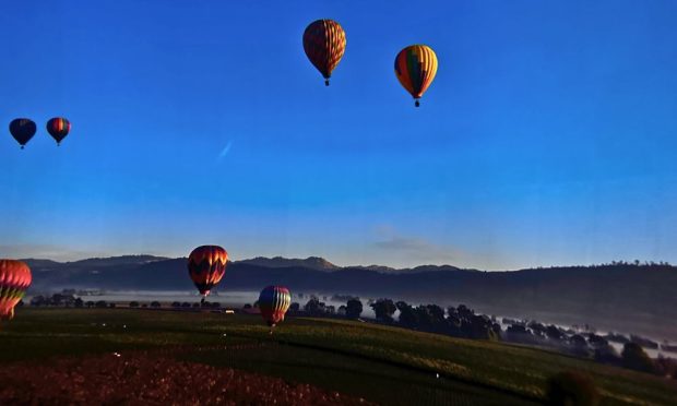 Oh, Soarin’ Over California, How I’ve Missed You!