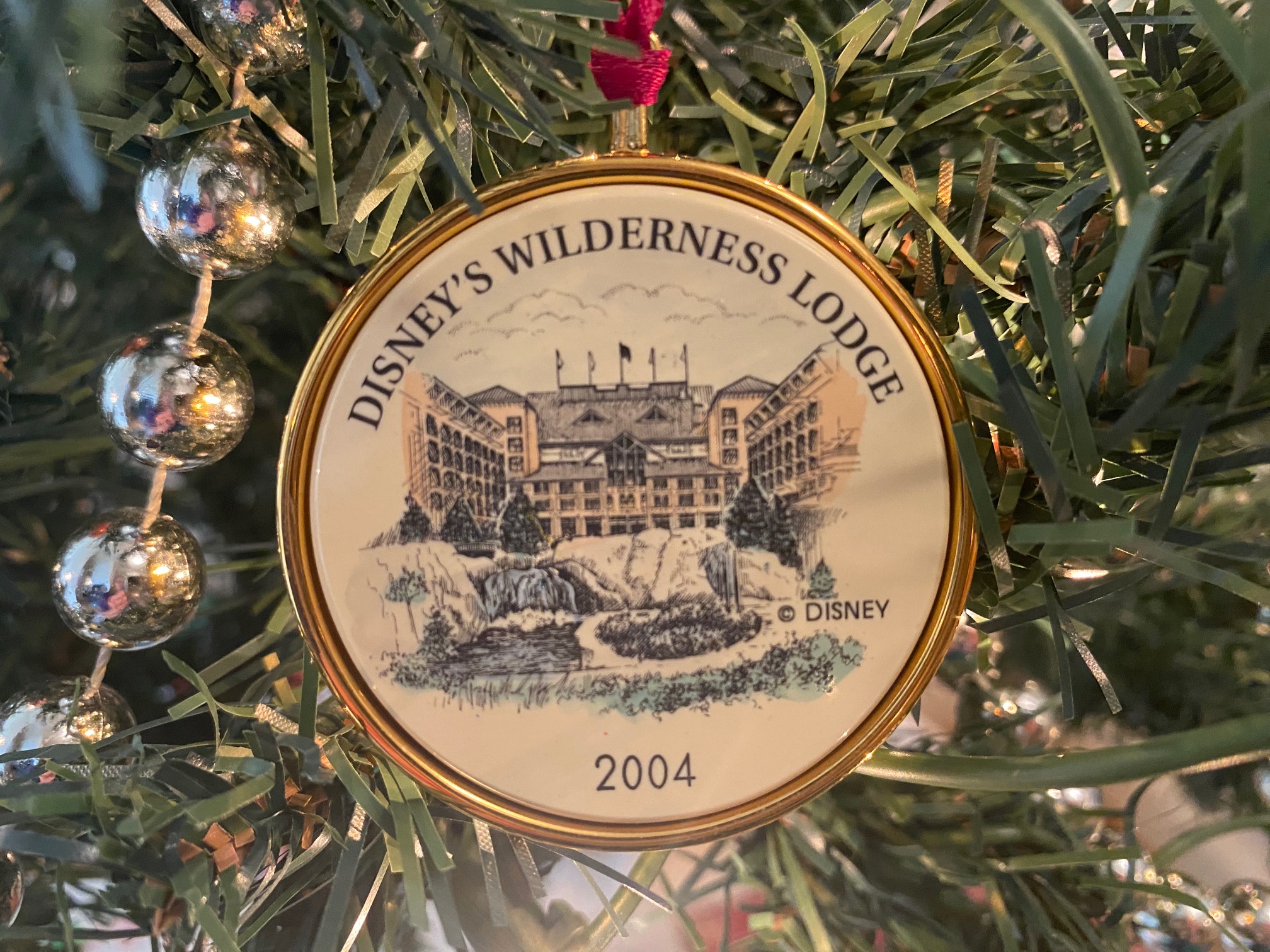 Calling All Disney Trees – Time to Show Yourselves Off!