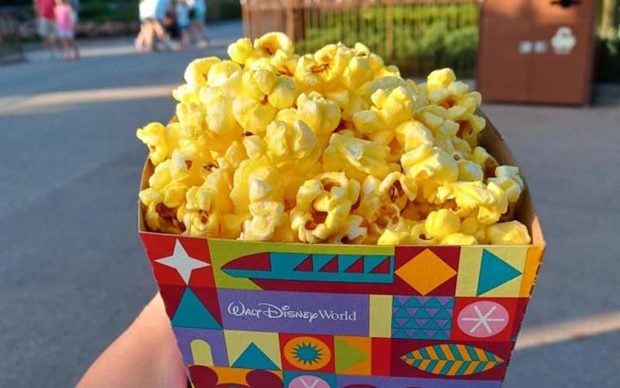 5 Things I Must Eat on Every Walt Disney World Trip!
