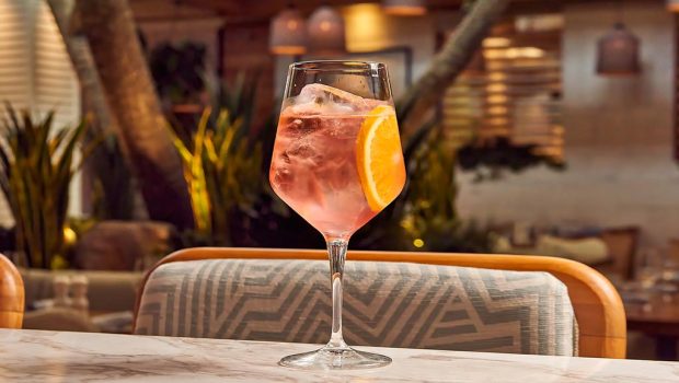 Imaginative Mocktails at Walt Disney World for Dry January