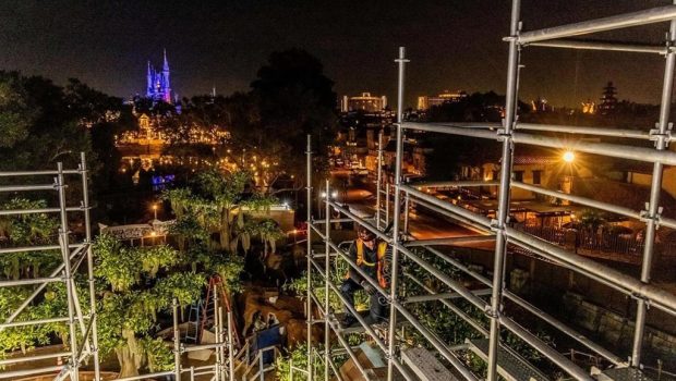 New Weathervane Installed at Tiana’s Bayou Adventure in Magic Kingdom ...