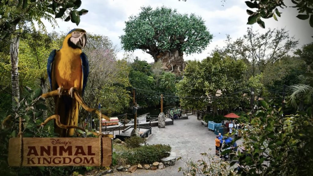 New Disney PhotoPass Super Zoom Location in Animal Kingdom | The DIS