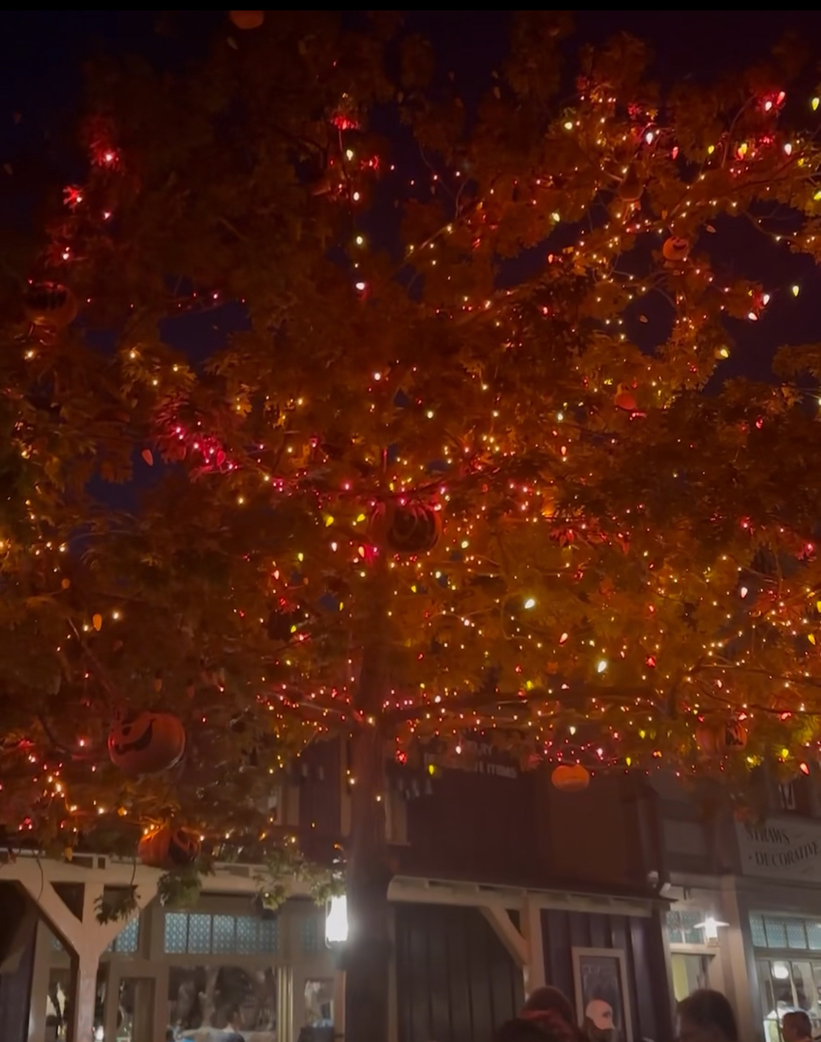 History of the Disneyland Halloween Tree You Never Noticed