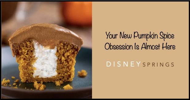 Your New Pumpkin Spice Latte Obsession Is About to Arrive | The DIS