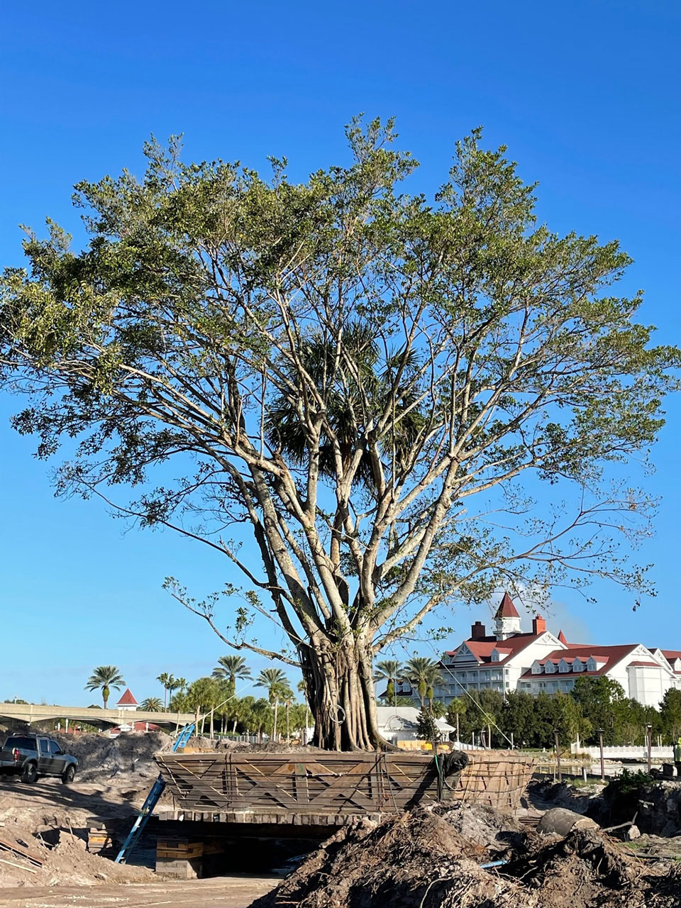 Sustainable Details Fill Island Tower at Disney’s Polynesian | The DIS