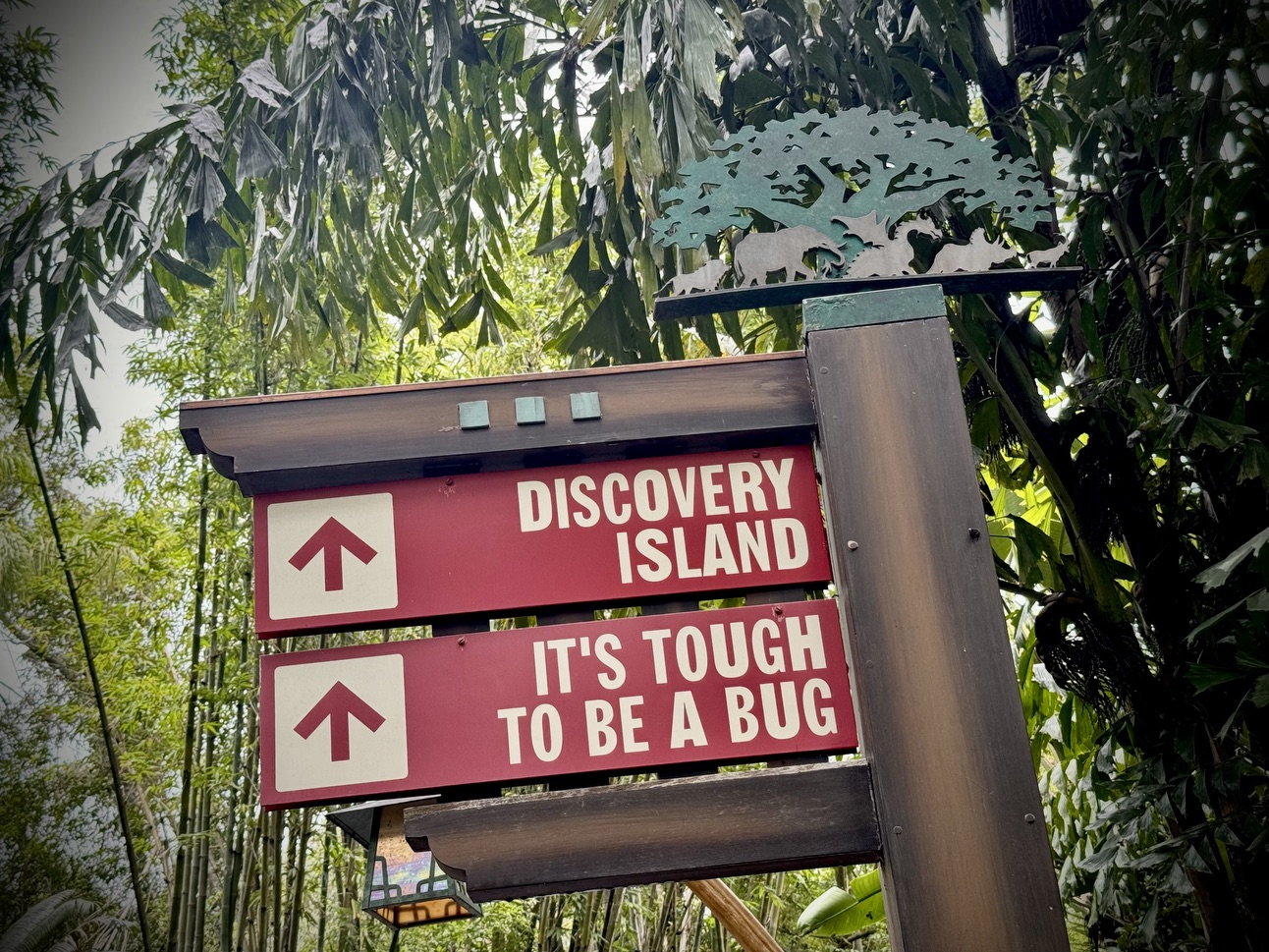 Dinosaurs Are Extinct On New Disney’s Animal Kingdom Logo Merch