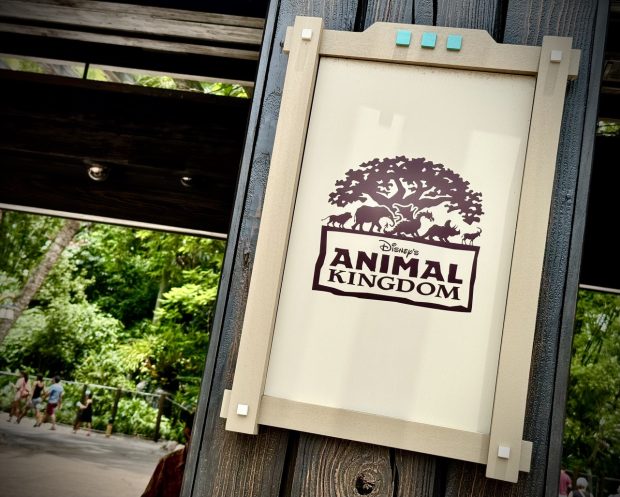 Unicorns & Dragons? The Lost Land of Disney’s Animal Kingdom | The DIS
