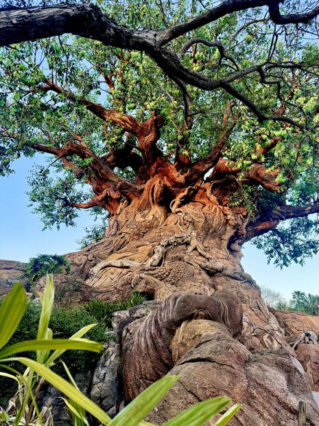 Don’t Forget The Tree of Life Garden at Disney’s Animal Kingdom!