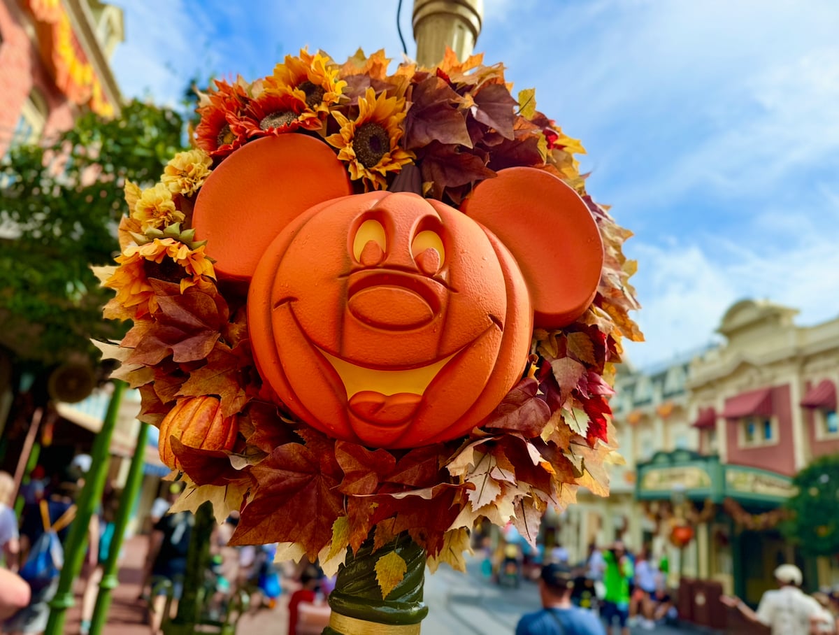 Mickey's not-so scary halloween party 2026 – The DIS