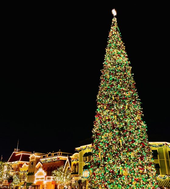10 Reasons to Visit Disneyland for the Holiday Season | The DIS