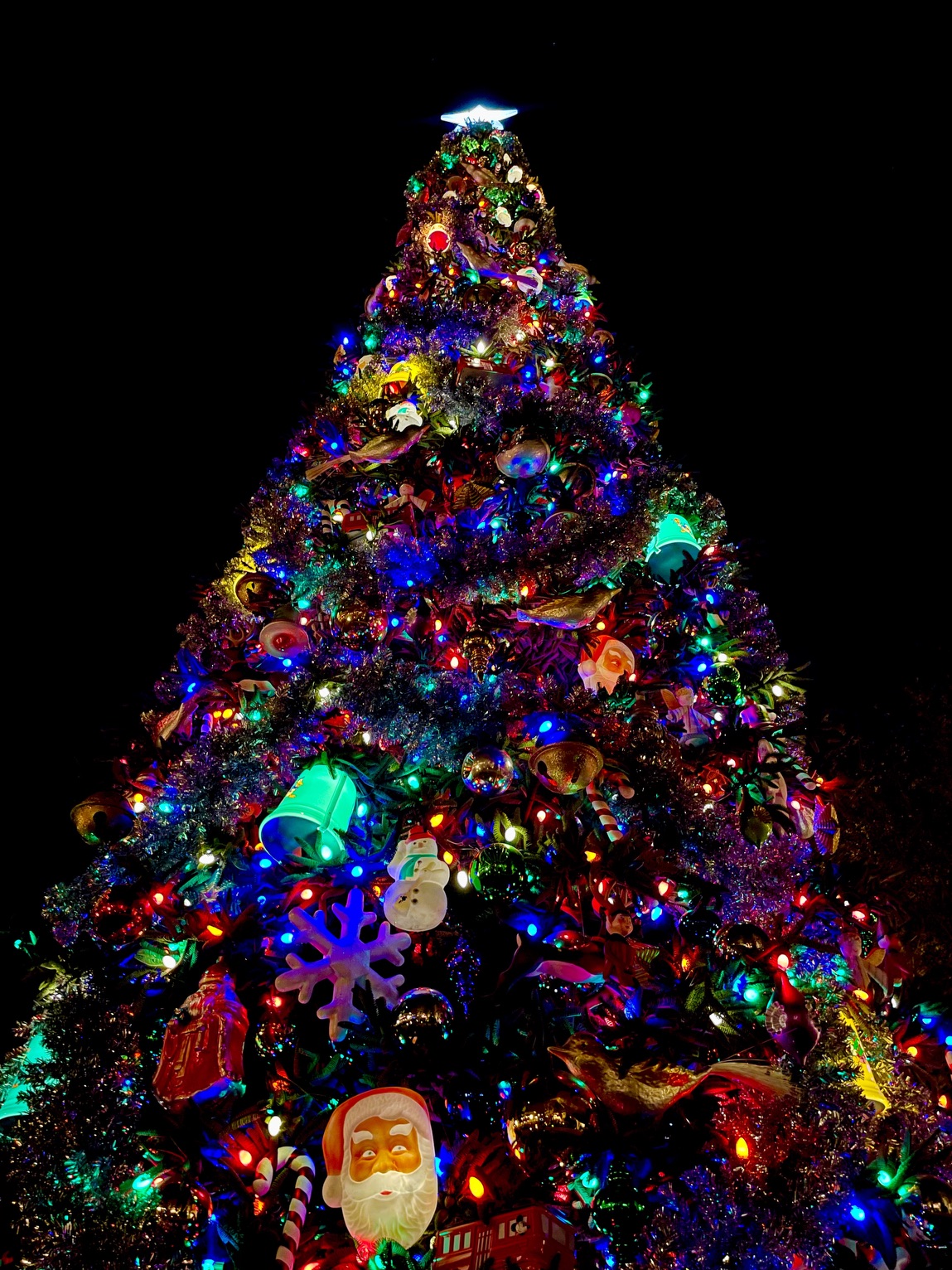 10 Reasons to Visit Disneyland for the Holiday Season