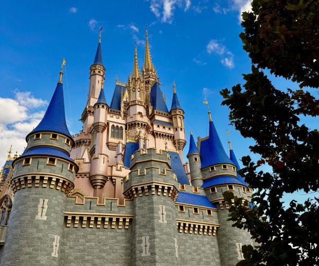 New Disney World Annual Pass Offer: 50% OFF Down Payment
