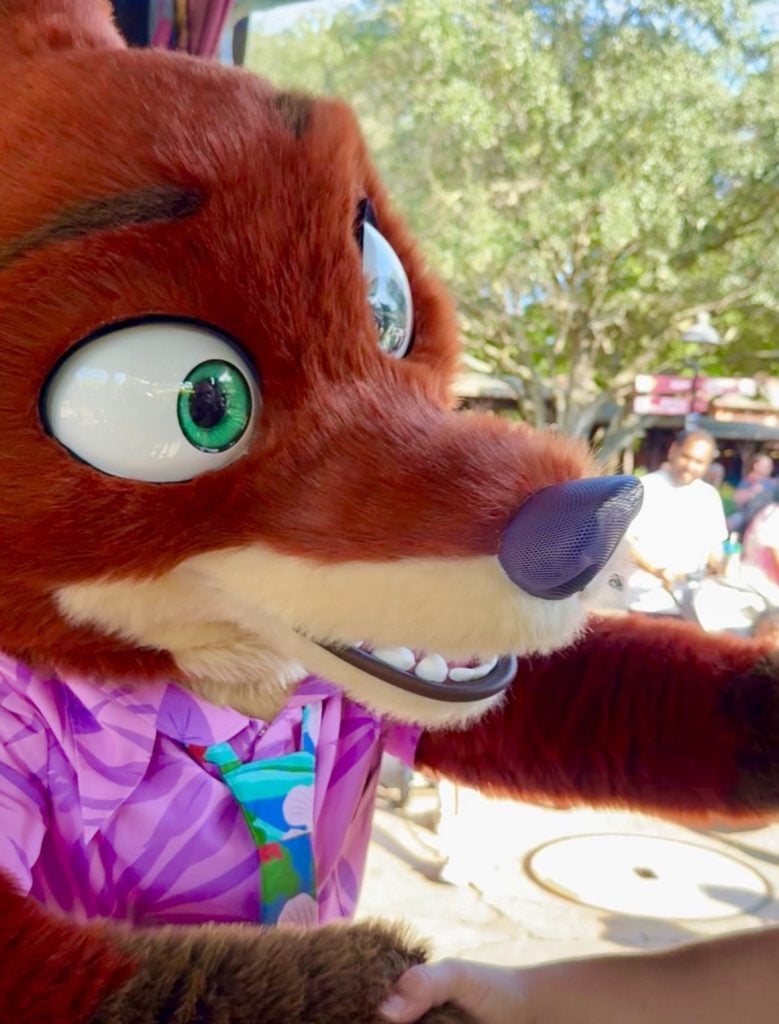 How to Meet Nick and Judy at Disney’s Animal Kingdom: Wait Times & Tips ...
