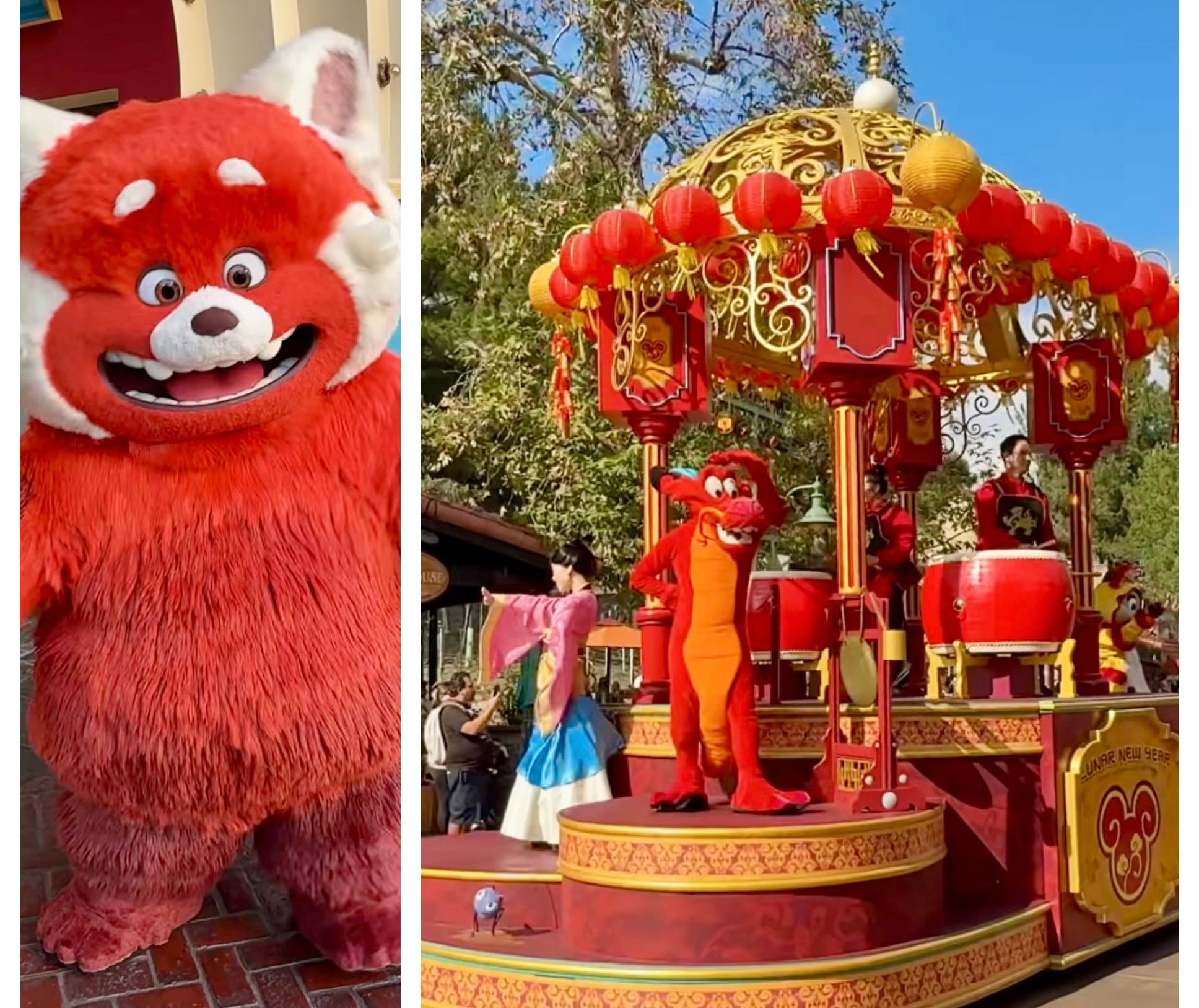 2026 Lunar New Year – The DIS